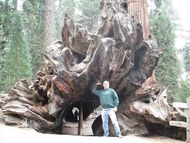 Sequoia National Park pictures